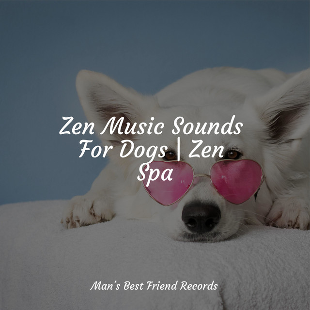 Zen Music Sounds For Dogs | Zen Spa - Album by Official Pet Care ...