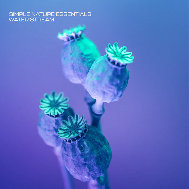 Simple Nature Essentials - Album by Water Stream | Spotify