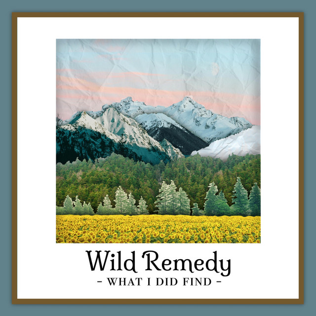 Wild Remedy: genres, songs, analysis and similar artists - Chosic