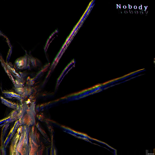 Nobody - Album by S_R | Spotify