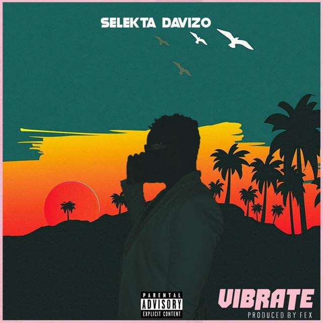 VIBRATE - Single by Dj Davizo | Spotify