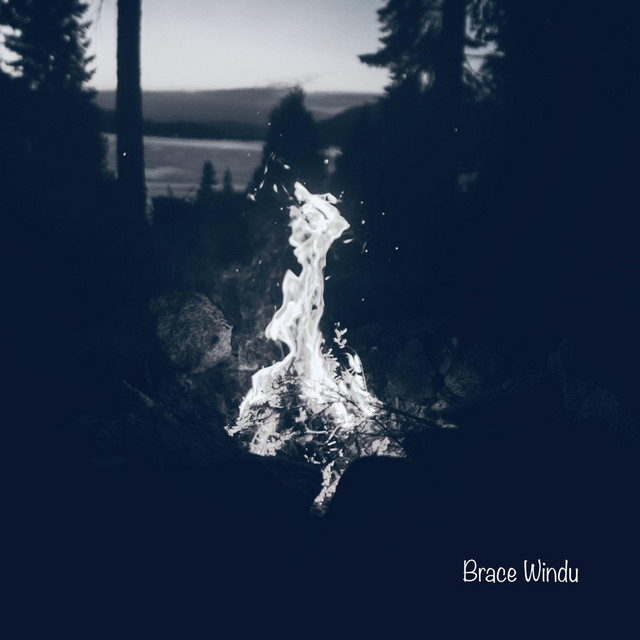 That's Cool - Single by Brace Windu | Spotify