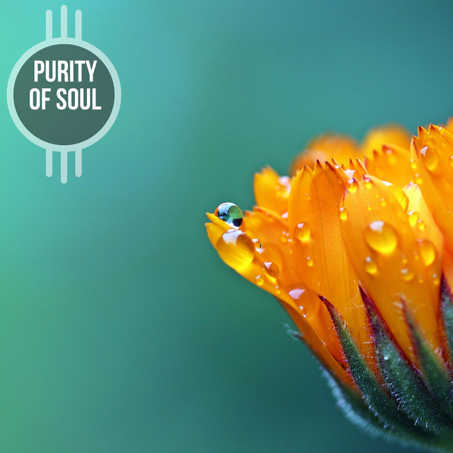 Purity of Soul - Compilation by Various Artists | Spotify