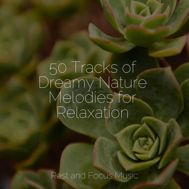 50 Tracks of Dreamy Nature Melodies for Relaxation - Album by ...