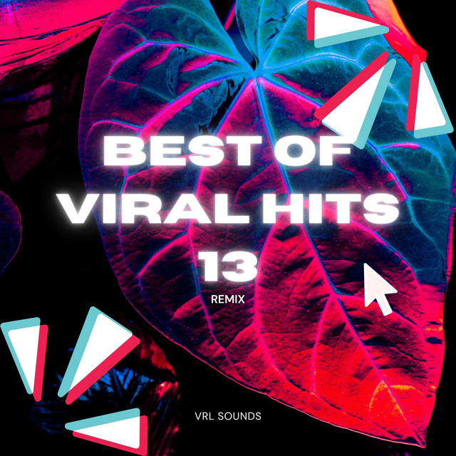 Best Of Viral Hits 13 (Remix) - Single by VRL SOUNDS | Spotify