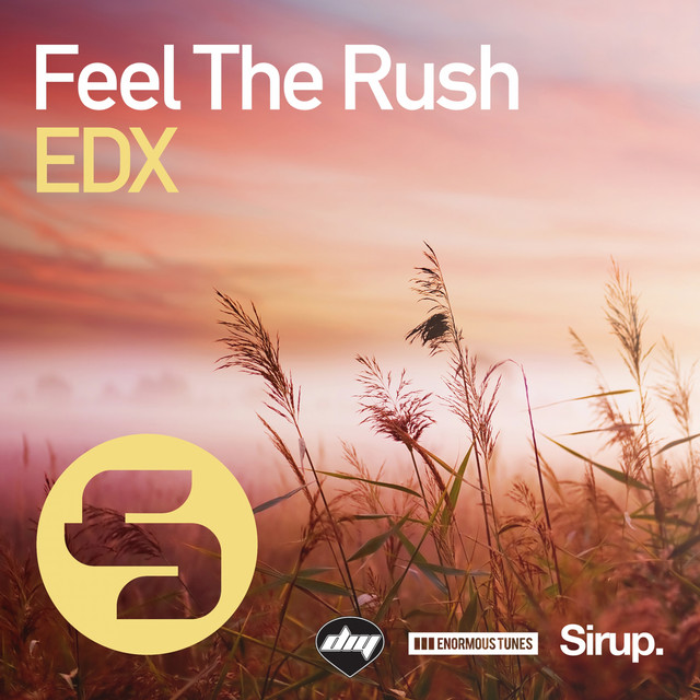 Feel the Rush - Single by EDX | Spotify
