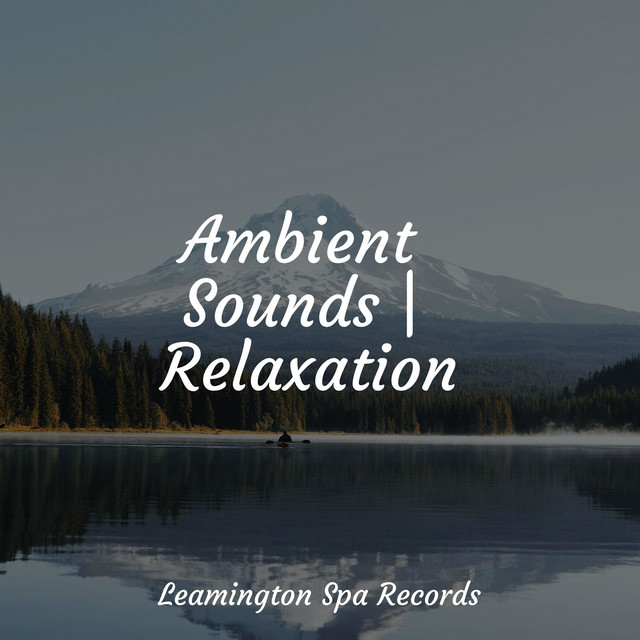 Calming New Age - song and lyrics by Rain Sounds Collection, Binaural ...