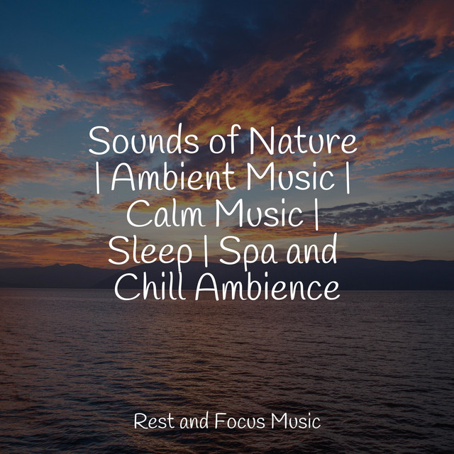 Sounds of Nature | Ambient Music | Calm Music | Sleep | Spa and Chill ...