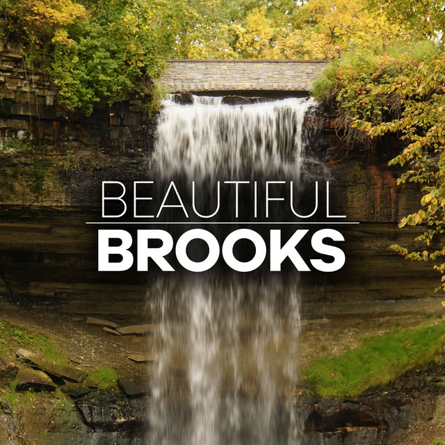 Beautiful Brooks ! ! ! ! - Album by The Field Recording Collective ...