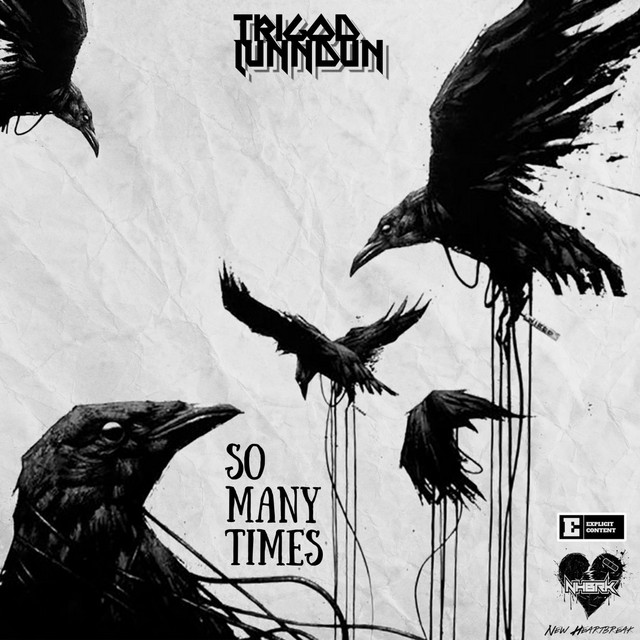 SO MANY TIMES - Single by TriGOD LunnDun | Spotify