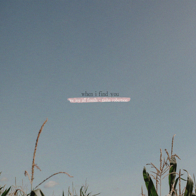 When I Find You - Single by We Are All Fossils | Spotify