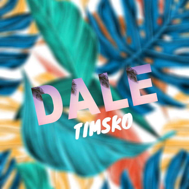 Dale - song and lyrics by TimSko | Spotify