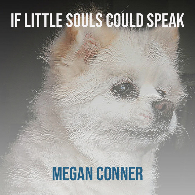 If Little Souls Could Speak - Single by Megan Conner | Spotify