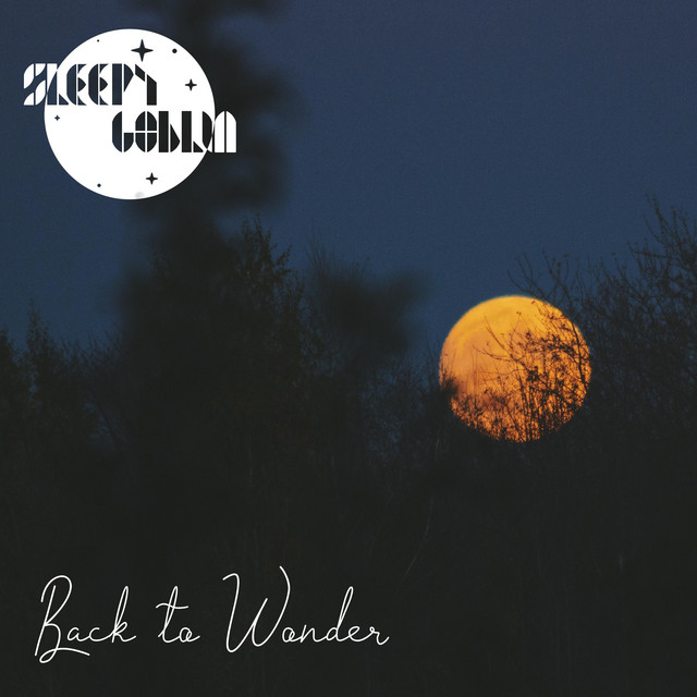 Back to Wonder - Single by Sleepy Goblin | Spotify