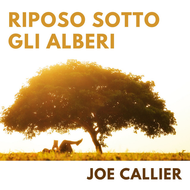 Riposo Sotto Gli Alberi - Album by Joe Callier | Spotify