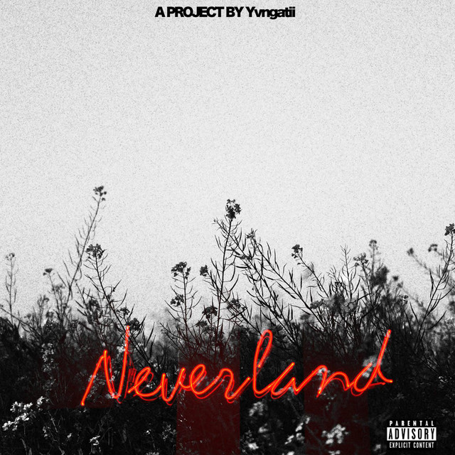 Project Neverland - Single by YvngAtii | Spotify
