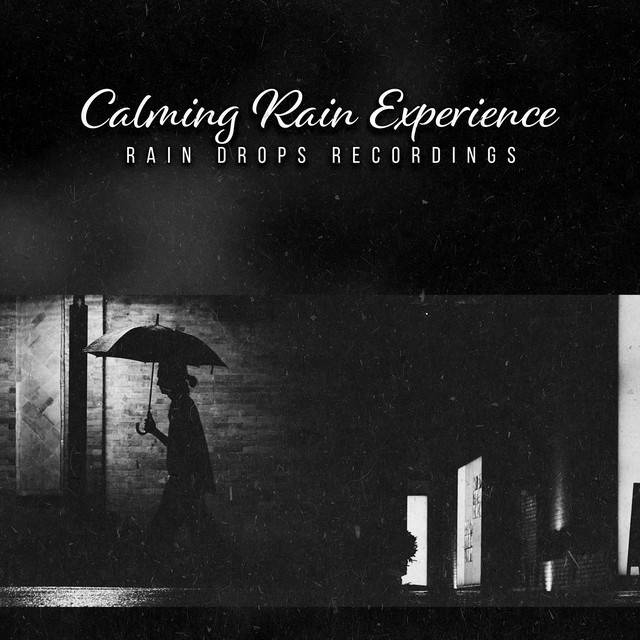 Calming Rain Experience - Album by Rain Drops Recordings | Spotify