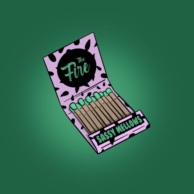 The Fire - song by Sassy Mellows | Spotify