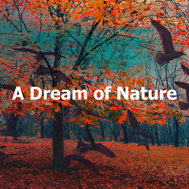 A Dream of Nature - Album by Relaxing Nature Sounds Collection | Spotify