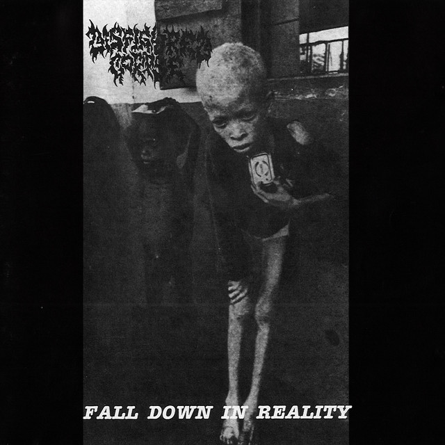 Fall Down In Reality / Split TOTAL DEATH - Album by Disfigured Corpse ...