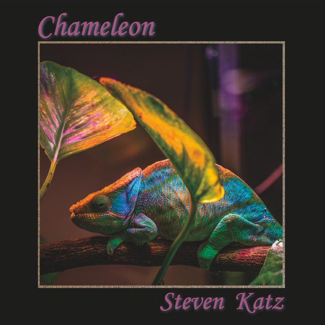 Chameleon - Album by Steven Katz | Spotify