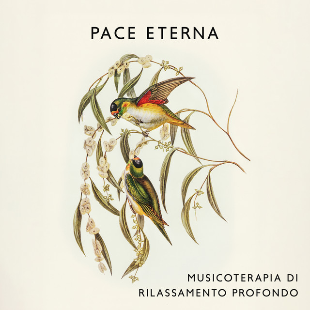 Pace eterna: musicoterapia di rilassamento profondo - Album by Musica ...