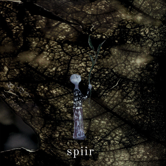 Coldest Breeze / Bloom - Single by spiir | Spotify