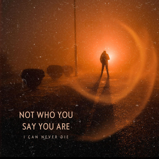 Not who you say you are - Single by Conner Macleod | Spotify