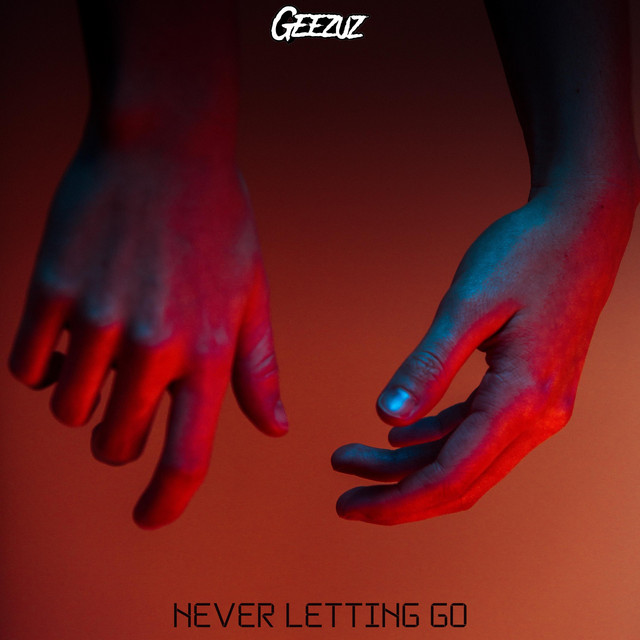 Never Letting Go - Single by Geezuz | Spotify