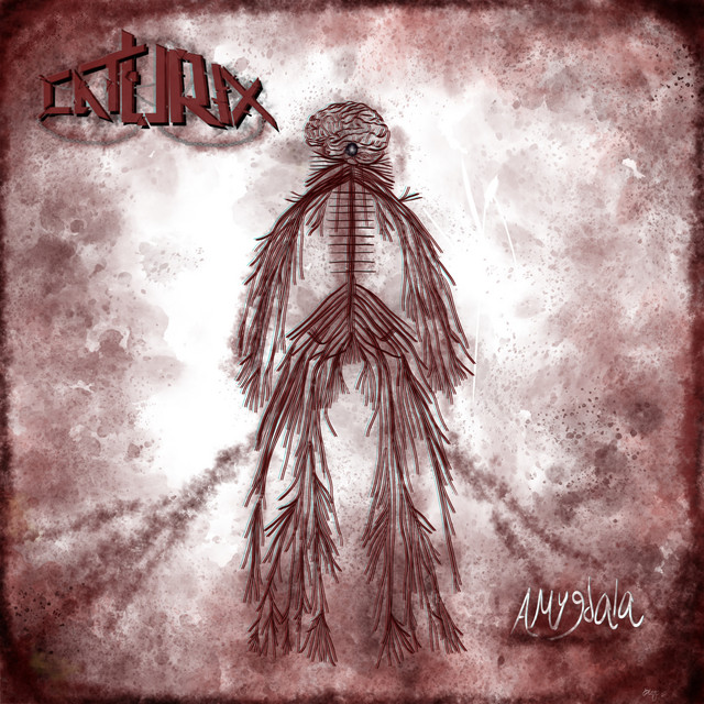 Amygdala - Album by Caturix | Spotify