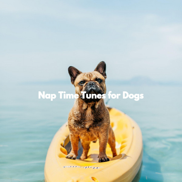 Nap Time Tunes for Dogs - Album by Fun Jazz | Spotify