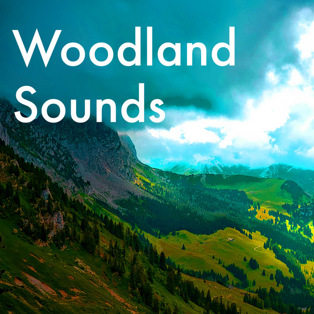 Sleep Well - song and lyrics by Nature Sounds Radio | Spotify