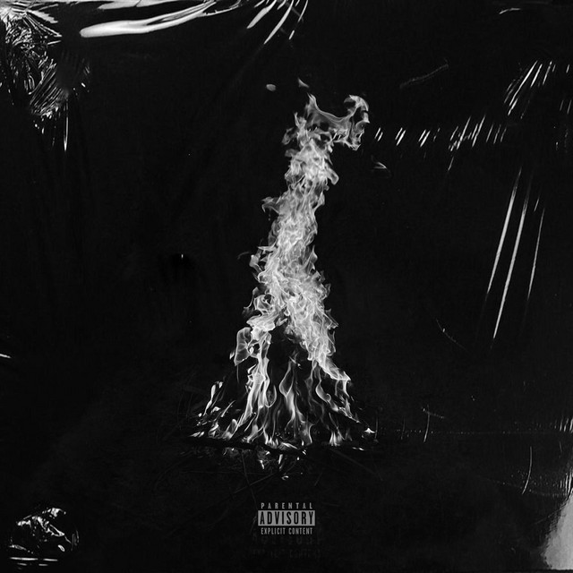 Hate it or Love it - Album by Yo Sam | Spotify