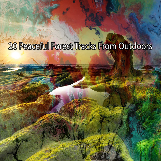 20 Peaceful Forest Tracks From Outdoors - Album by Pro Sounds of Nature ...
