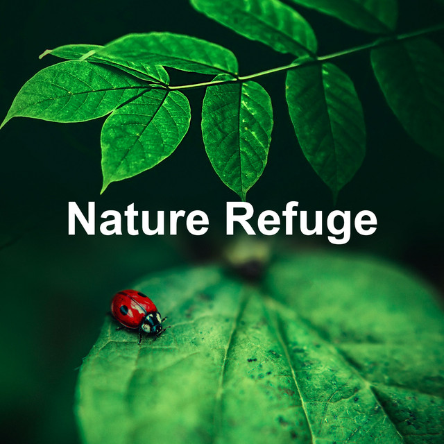 Nature Refuge - Album by Call Of Nature | Spotify