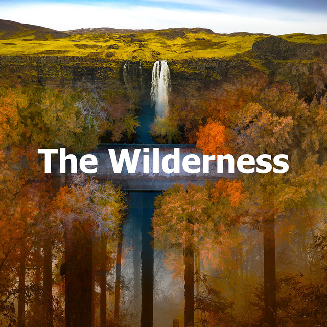 The Wilderness - Album by The Wilderness | Spotify