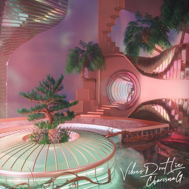 Vibes Don't Lie - Single by Charisma G | Spotify
