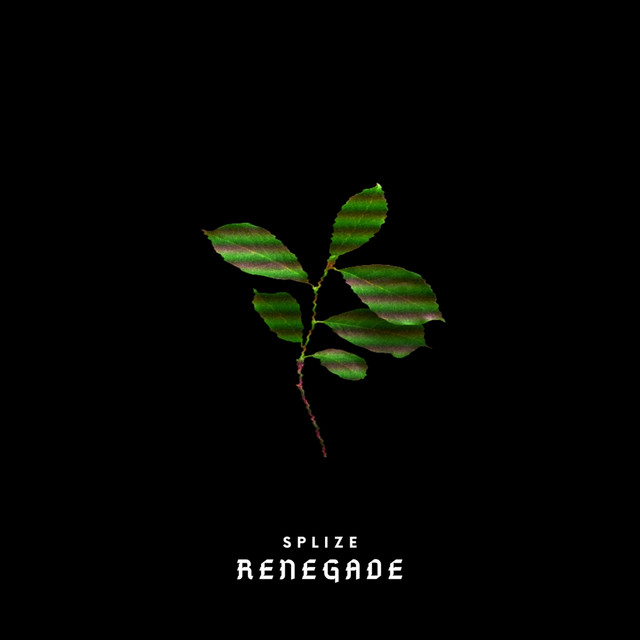 Renegade - Single by Splize | Spotify
