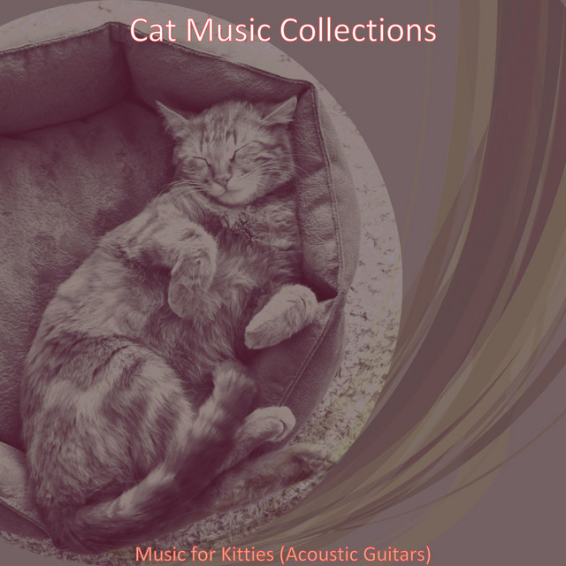 Easy Listening Acoustic Guitar Soundtrack for Relaxing Your Cat - song ...