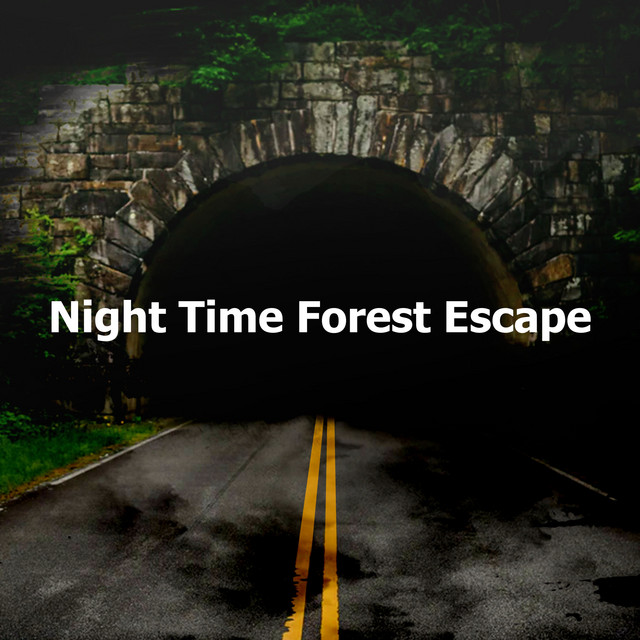 Night Time Forest Escape - Album by The Forest Escape | Spotify