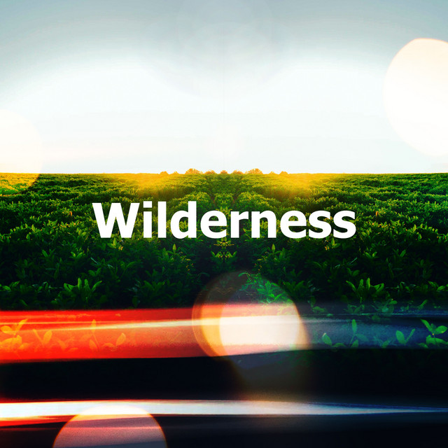 Wilderness - Album by The Field Recording Collective | Spotify