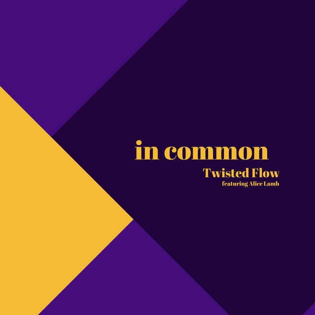 In Common - Single by Twisted Flow | Spotify