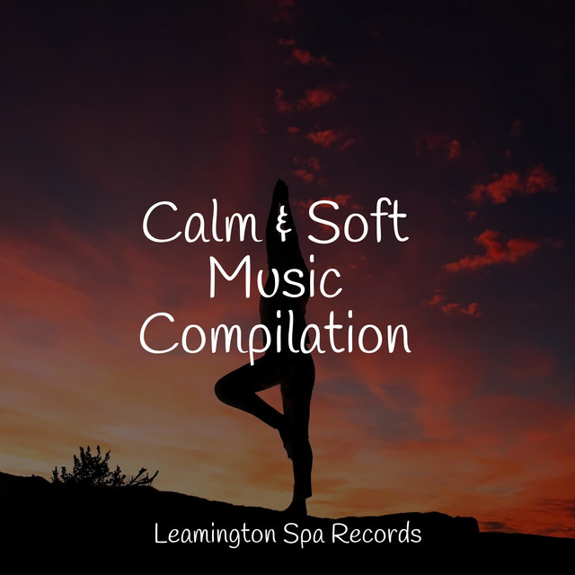 Calm & Soft Music Compilation - Album by 125 Nature Sounds | Spotify