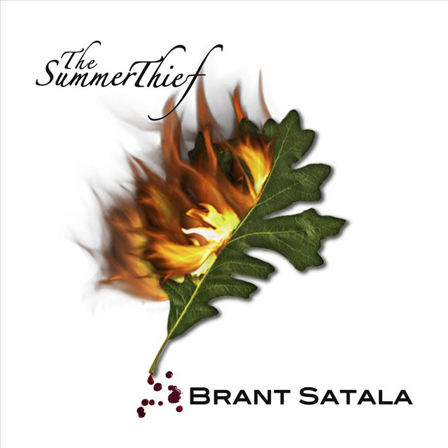 Falling is Not Flying - música y letra de Brant Satala | Spotify