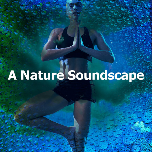 A Nature Soundscape - Album by Sleep Nature Rain Sound | Spotify