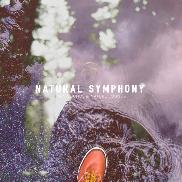 Natural Symphony - Album by Rain Sounds & Nature Sounds | Spotify