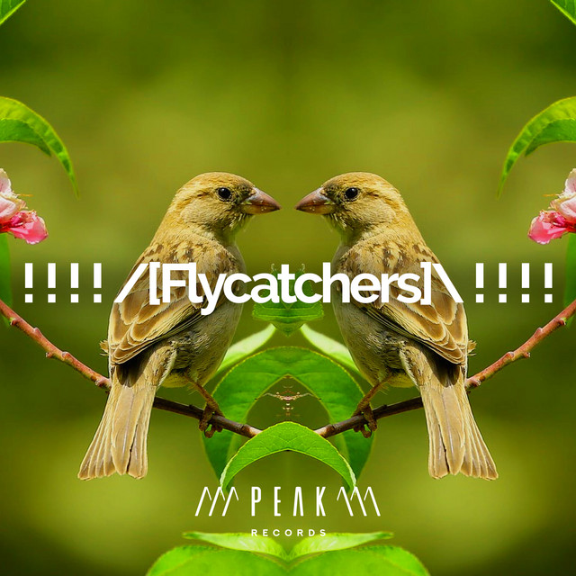 Flycatchers]\ ! ! ! ! - Album by Bird Sounds | Spotify