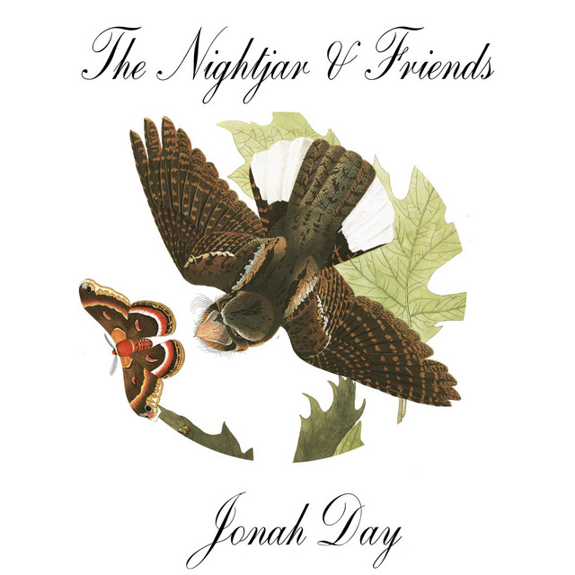 The Nightjar & Friends - Album by Jonah Day | Spotify