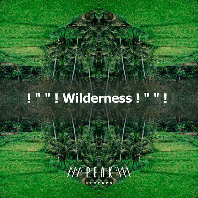 Wilderness ! " " ! - Album by Nature Sounds | Spotify