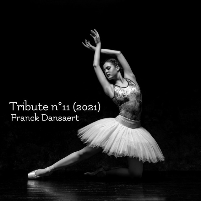 Tribute n°11 (2021) - Single by Franck Dansaert | Spotify